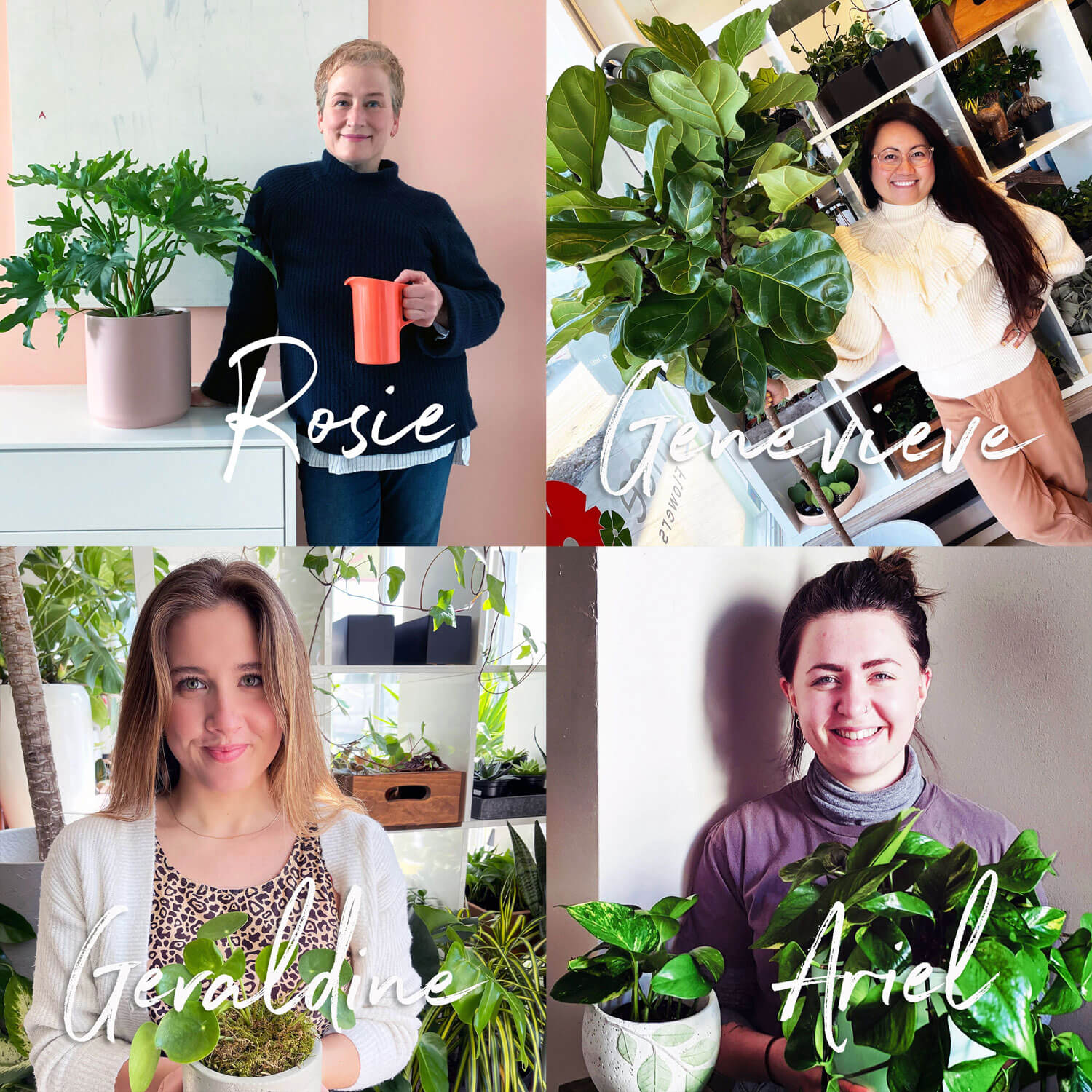 Plant Life: Staff Picks | Quince Flowers Blog