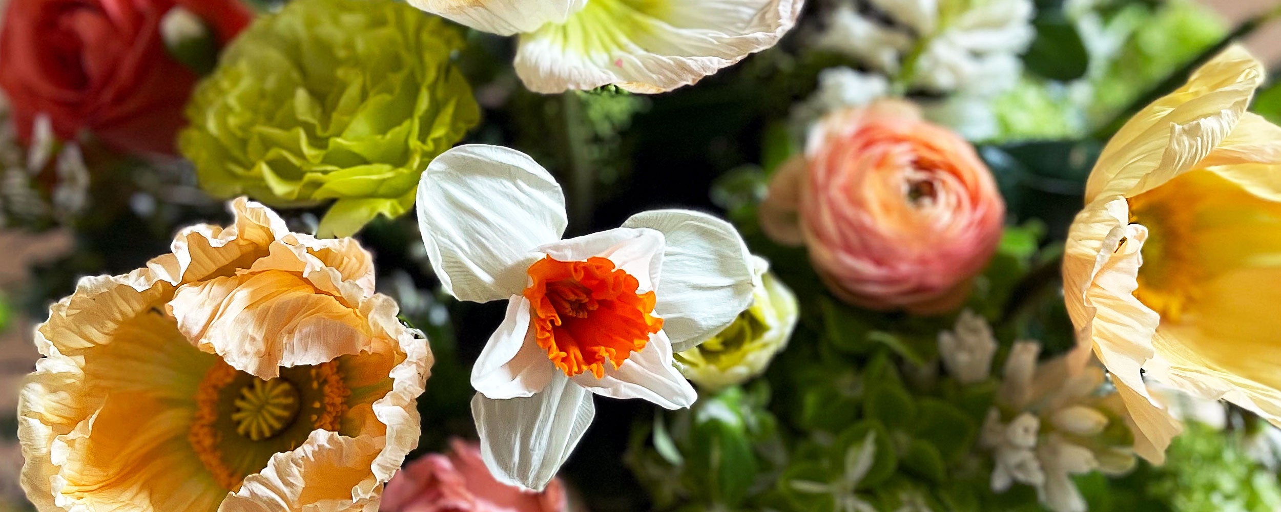 Send Flowers with Toronto's Best Florist | Quince Flowers
