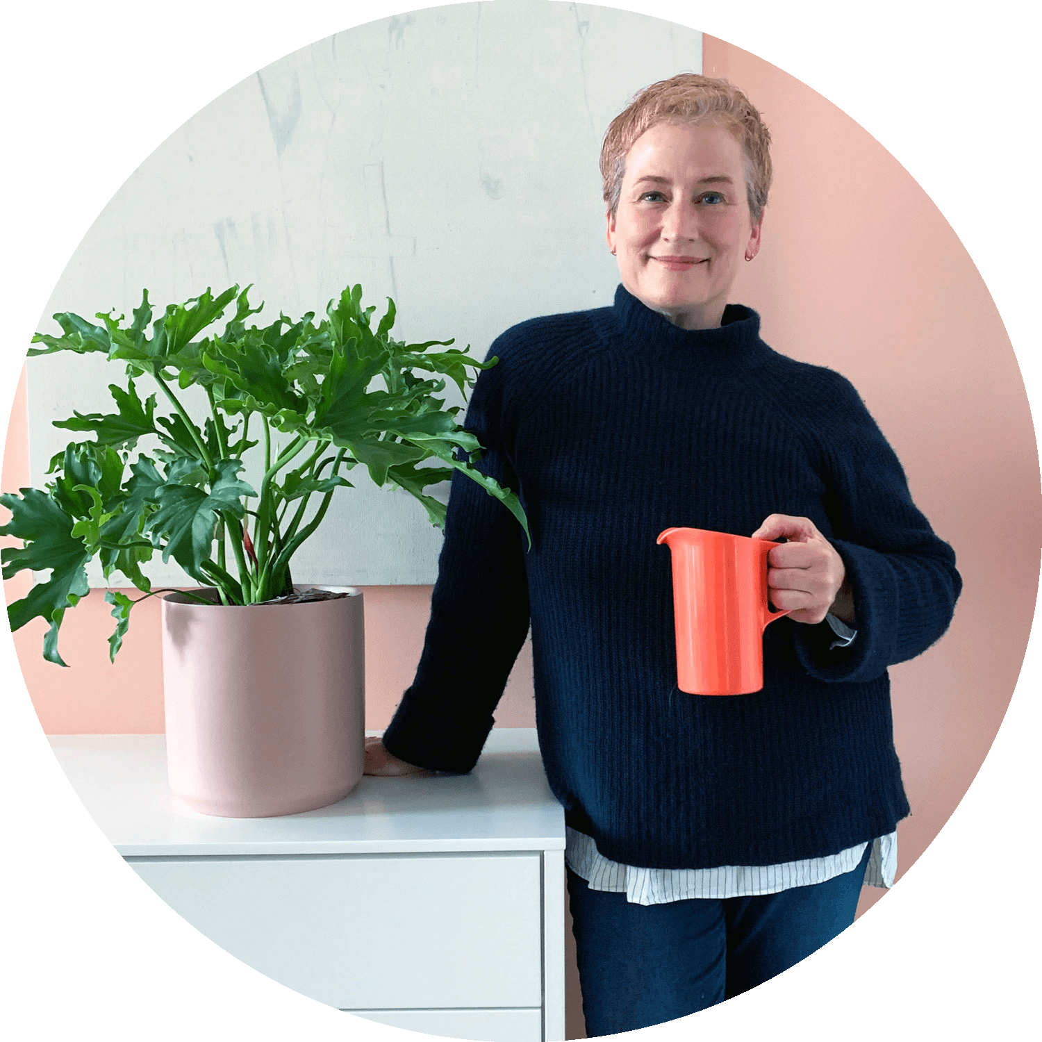 Discover the Fascinating Pencil Cactus – Quince Flowers